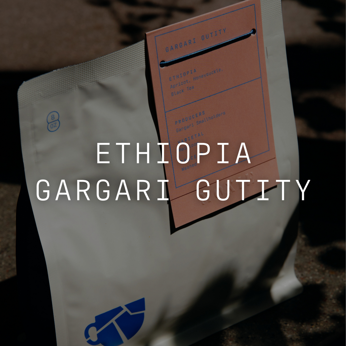 Gargari Gutity - Washed Ethiopia – Moxie Coffee Co.