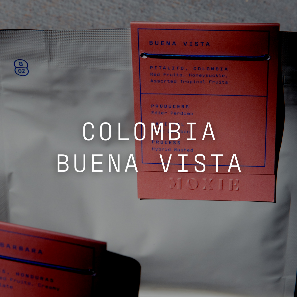 Buena Vista - Hybrid Washed Colombia – Moxie Coffee Co.